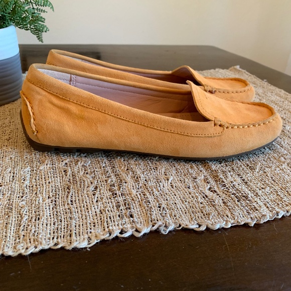 Taryn Rose | Shoes | Taryn Rose Karen Suede Driving Loafer | Poshmark